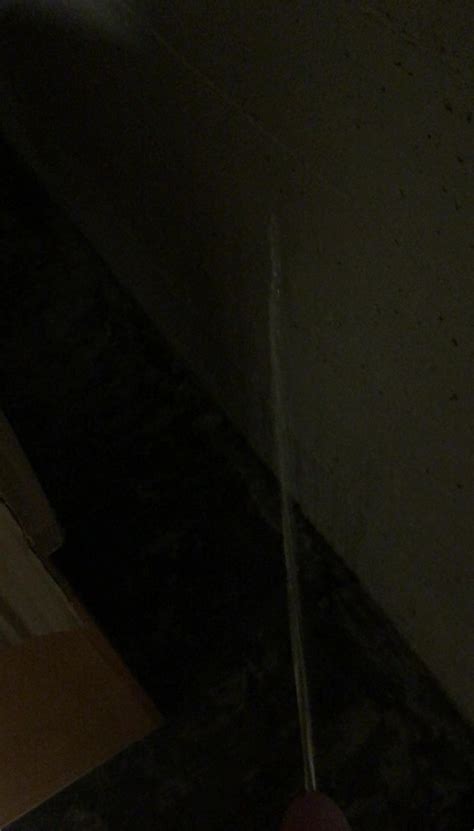 Pissing On The Basement Wall Thisvid Com