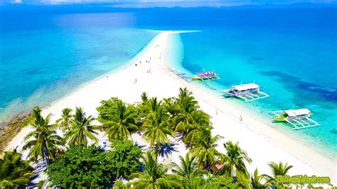 Kalanggaman Island Tour Sandbar Snorkeling And Coastal Escape
