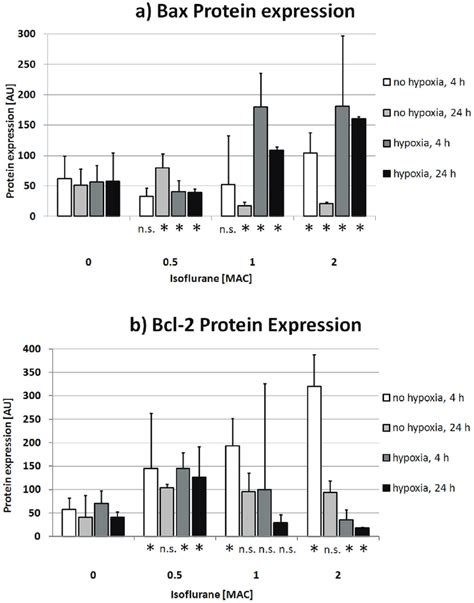 How To Graph Western Blot Data At Edwin Dryer Blog
