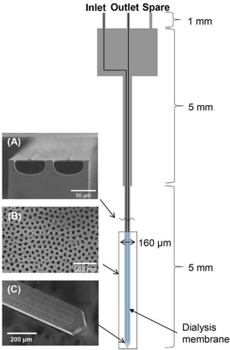 Figure 1 From Microfabrication And In Vivo Performance Of A
