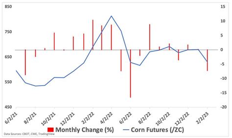 Corn Prices Collapsed In February Will It Continue Tastylive