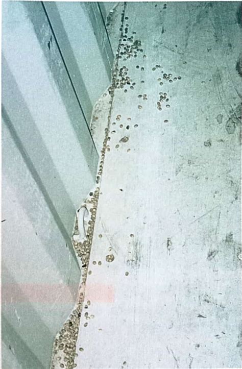 Shipping Container Cleaning Methods