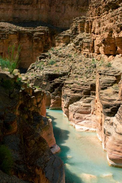 330 Havasu Creek Fotos Fotografías De Stock Fotos E Imágenes Libres