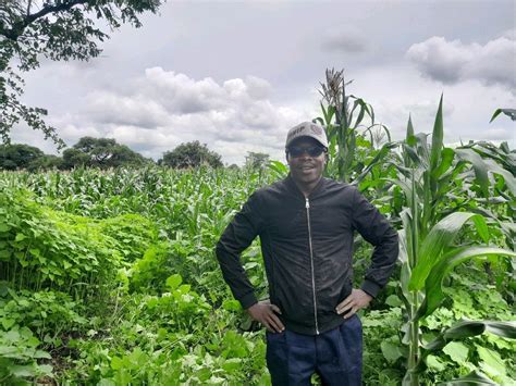 Felix Mbewe On Linkedin Cheers To The Rain Season
