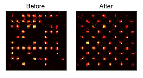 Rydberg Atoms And Optical Tweezers New Opportunities In Quantum Science