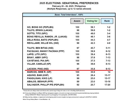 January 2025 Nationwide Survey On The May 2025 Elections Pulse Asia