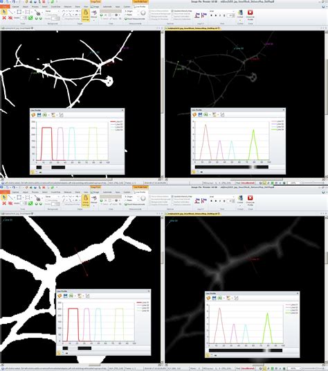 Fiber App And Segmentation — Media Cybernetics Image Analysis Forums
