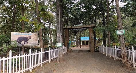 Vansda National Park Learn Upsc