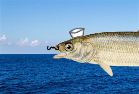 I Found The Musical Fruit In The Building 71 Incident R Tullibee