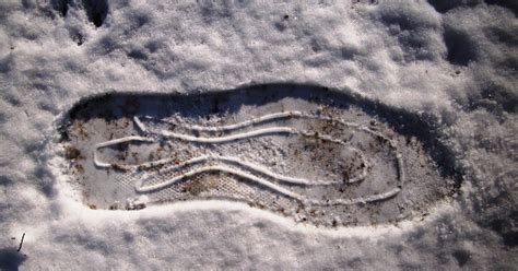 šis Tas Apie šį Tą 283 Tarp Kitko Apie Galimą Laukiamą Knygą