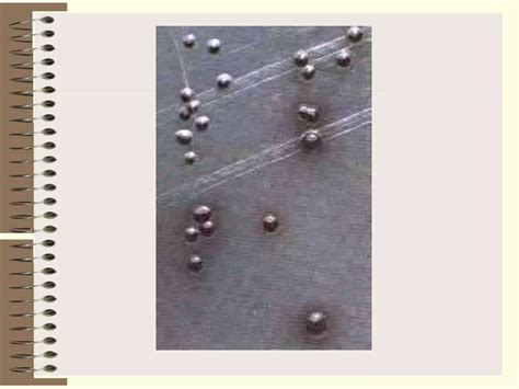 Pathogenic Enterobacteriaceae Ppt