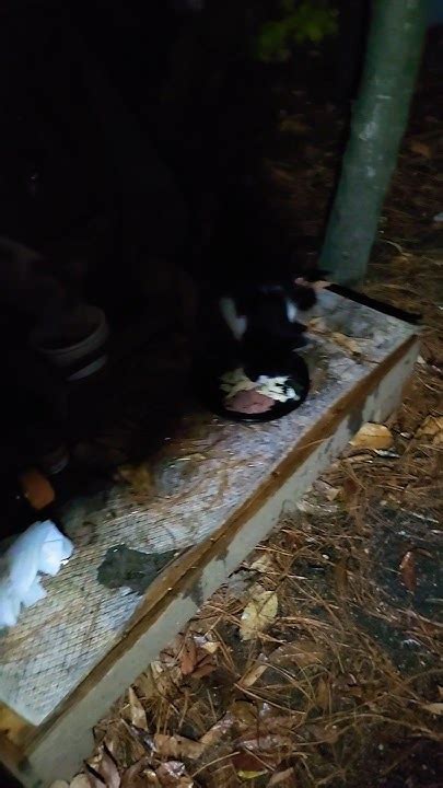 길천사들 비바람이 불어도 날씨가 추워도아이들은내일을살기위해오늘 허만길 옵니다 Youtube