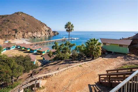 Programs Catalina Island Marine Institute