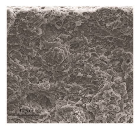 Surface Morphology Of A Mmt B Nano Ppyommt C Ilgpe D