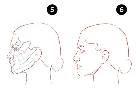How To Draw Female Face Step By Step Guide Of Drawing Portrait From The Front Side And A 3 4 View