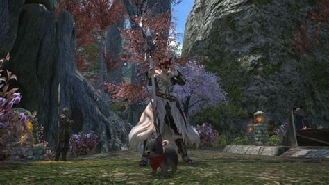 Ffxiv Class Guide 6x High Ground Gaming Ffxiv Class Guide 6x High Ground Gaming