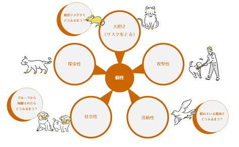 動物の性格ってなんだ？？？ 北大野外鳥類学研究室ブログ