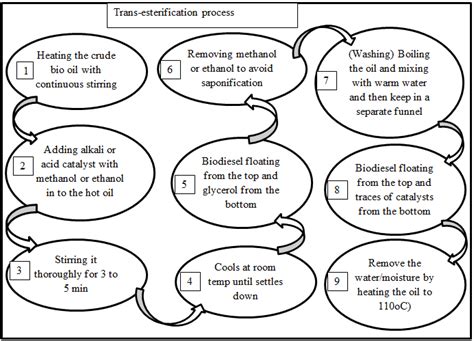 1 Biodiesel Extraction Process Trans Esterification Download