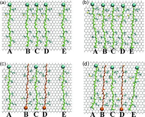 The Formation Of Peptide Assemblies The Initial A C And Final Download Scientific Diagram