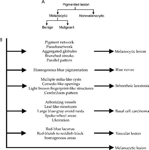 Figure 1 From Nonmelanocytic Lesions Defying The Two‐step Dermoscopy Algorithm Semantic Scholar