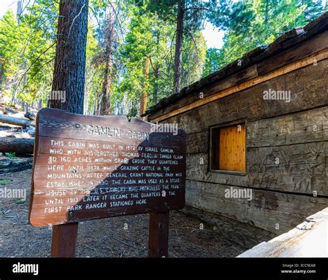 The Historic Gamblin Cabin In The General Grant Grove Kings Canyon National Park California