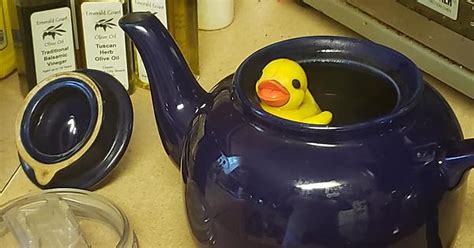 My Tea Strainer Is A Rubber Plastic Duck Album On Imgur