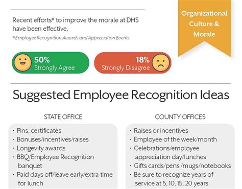 Client Assessment Findings Survey Booklet On Behance