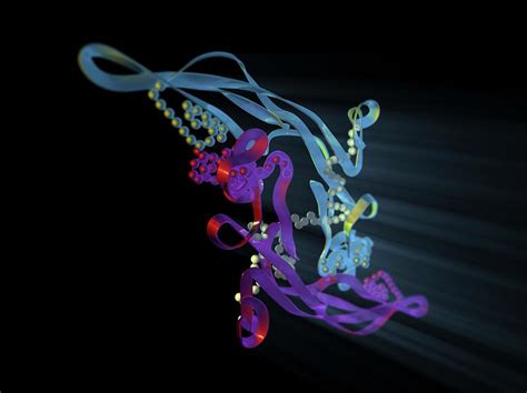 Tgf Beta1 Photograph By Hipersynteza Fine Art America