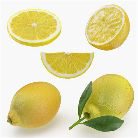3d Lemon 2 Model Turbosquid 1223901