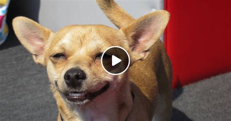 Breaks Bass And Garage 2022 By Kieran Devlin Mixcloud