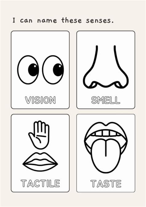My Food Preference Booklet By Hatchdraw Topic Based Learning Tpt