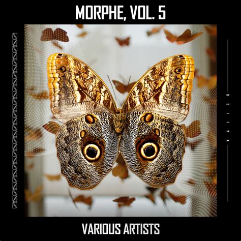 Morphe Va Vol 5 Various Artists Kaligo Records