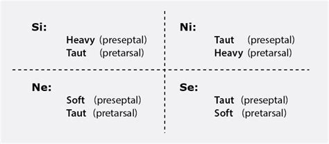 Updating The Se Ne Si Ni Ocular Tensions Cognitive Typology