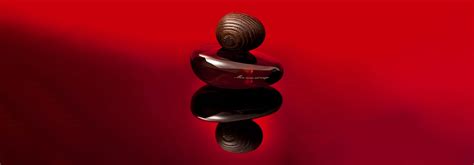 „majda Bekkali“ Crème De La Crème