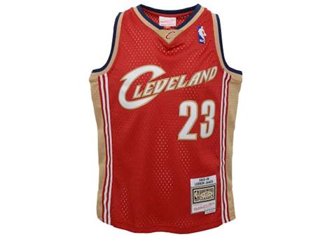 Lebron James Cleveland Cavaliers Colors Lebron James For The Cleveland