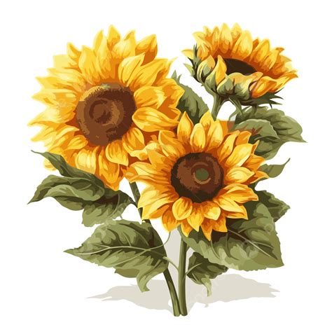 현실적인 해바라기 벡터 스티커 클립 아트 세 해바라기는이 그림 만화에 설명되어 있습니다 상표 클립 아트 Png 일러스트 및 벡터 에 대한 무료 다운로드 Pngtree