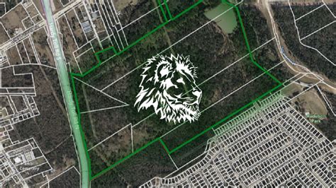 Live Feed Spring Isd