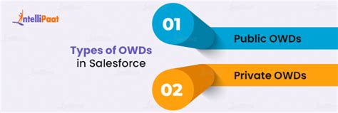 Organization Wide Default Owd In Salesforce Intellipaat