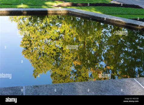 Big Tree Water Reflection Mirror View With Blue Sky Autumn Stock Photo Alamy