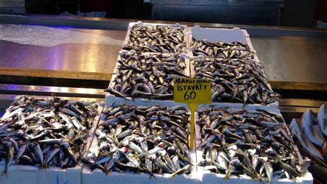 Karadenizde Hamsi Bolluğu Son Buldu Son Dakika