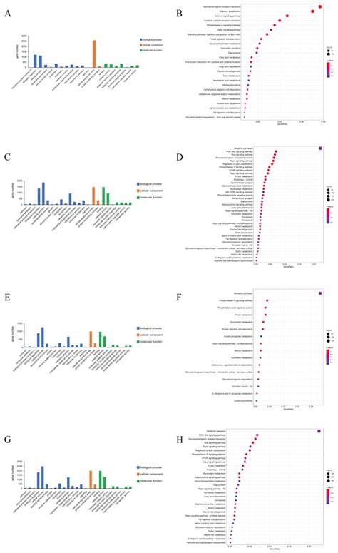 Whole Transcriptome Analysis Identifies Gender Dimorphic Expressions Of Mrnas And Non Coding