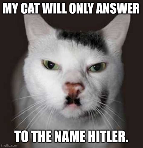 Nazi Cat Imgflip