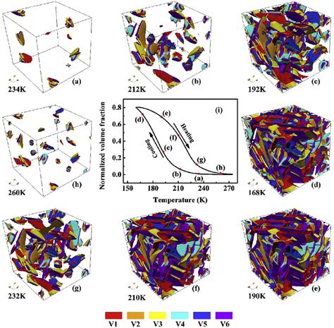 Microstructure Evolution During Mt Of The Concentration Modulated