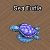 Sea Turtle Yppedia