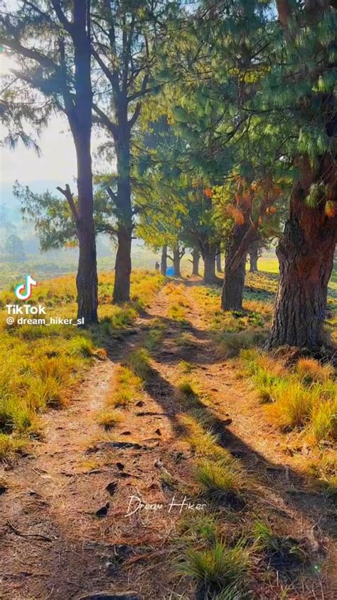 Haritha Kanda Bogawanthalawa R Srilanka