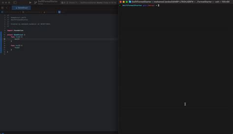 Swiftformat Many Programmers Have A Preferred Style By Mohamed Aymen Landolsi Medium
