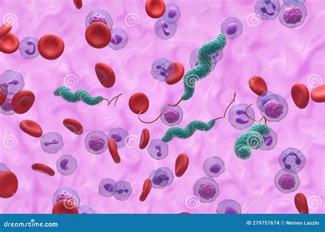 Campylobacter Jejuni Bacteria 3d Illustration Isometric View Stock
