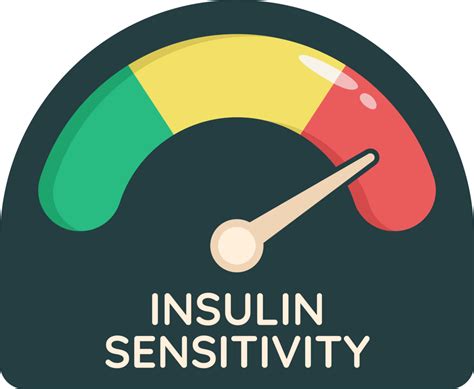 Parameter Speedometer Insulin Sensitivity 55355093 Png