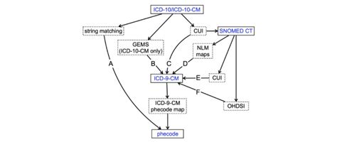 Mapping Icd 10 And Icd 10 Cm Codes To Phecodes Workflow Development And Initial Evaluation Pmc