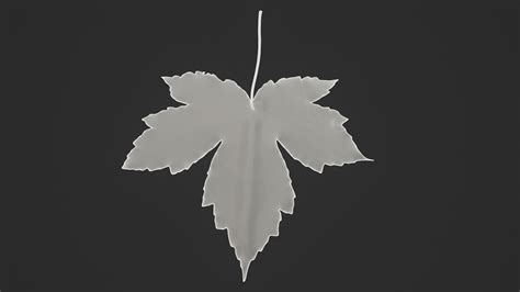 Acer Pseudoplatanus Autumn Leaf Model Turbosquid 2316483